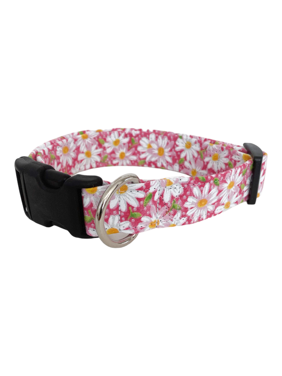Pink Daisy Dog Collar – Collars by Design